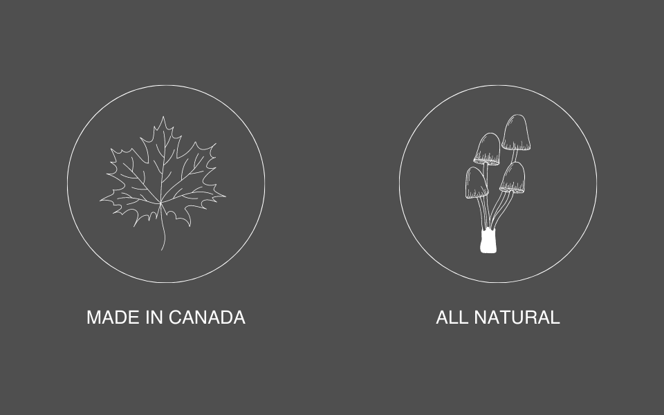 About Us - Fungal Friends