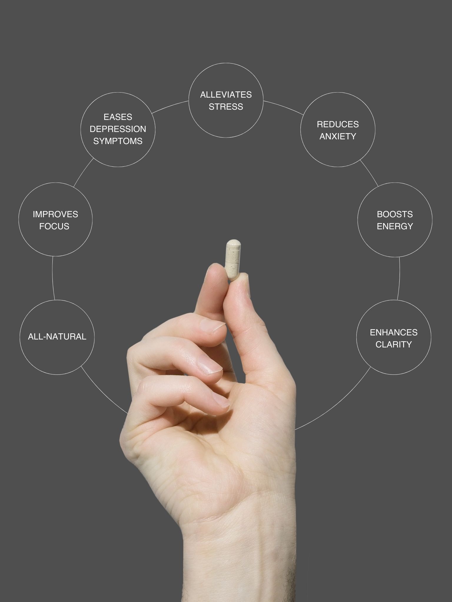 Fungal Friend - Buy Shrooms Online in Canada