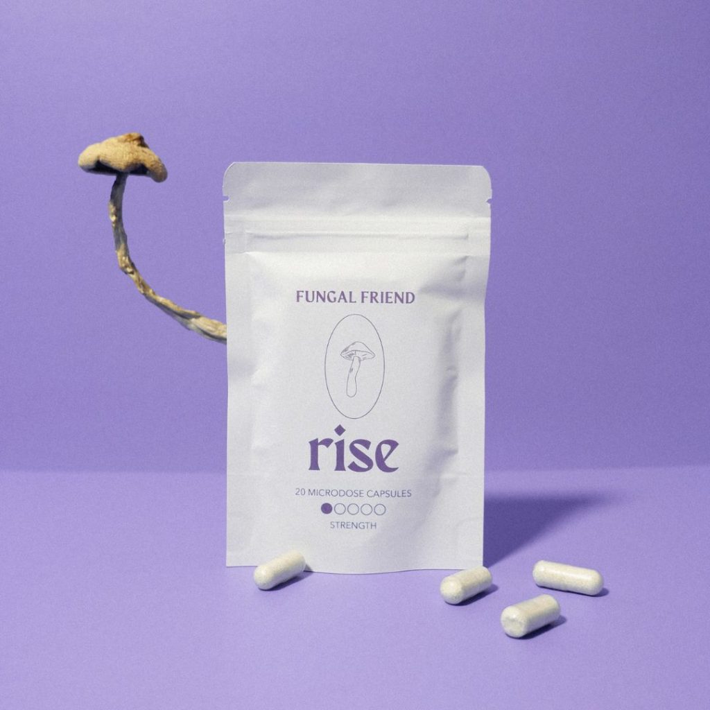 Fungal Friend - Buy Shrooms Online in Canada