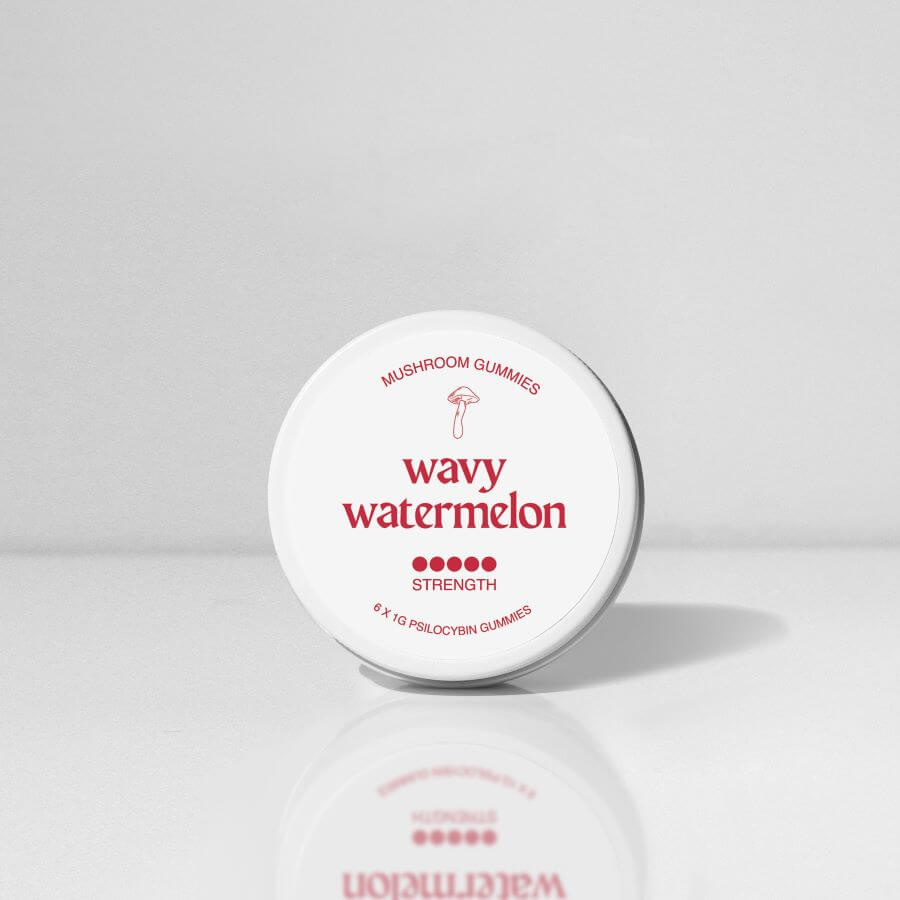 MACRODOSE MUSHROOM PRODUCTS - Fungal Friend